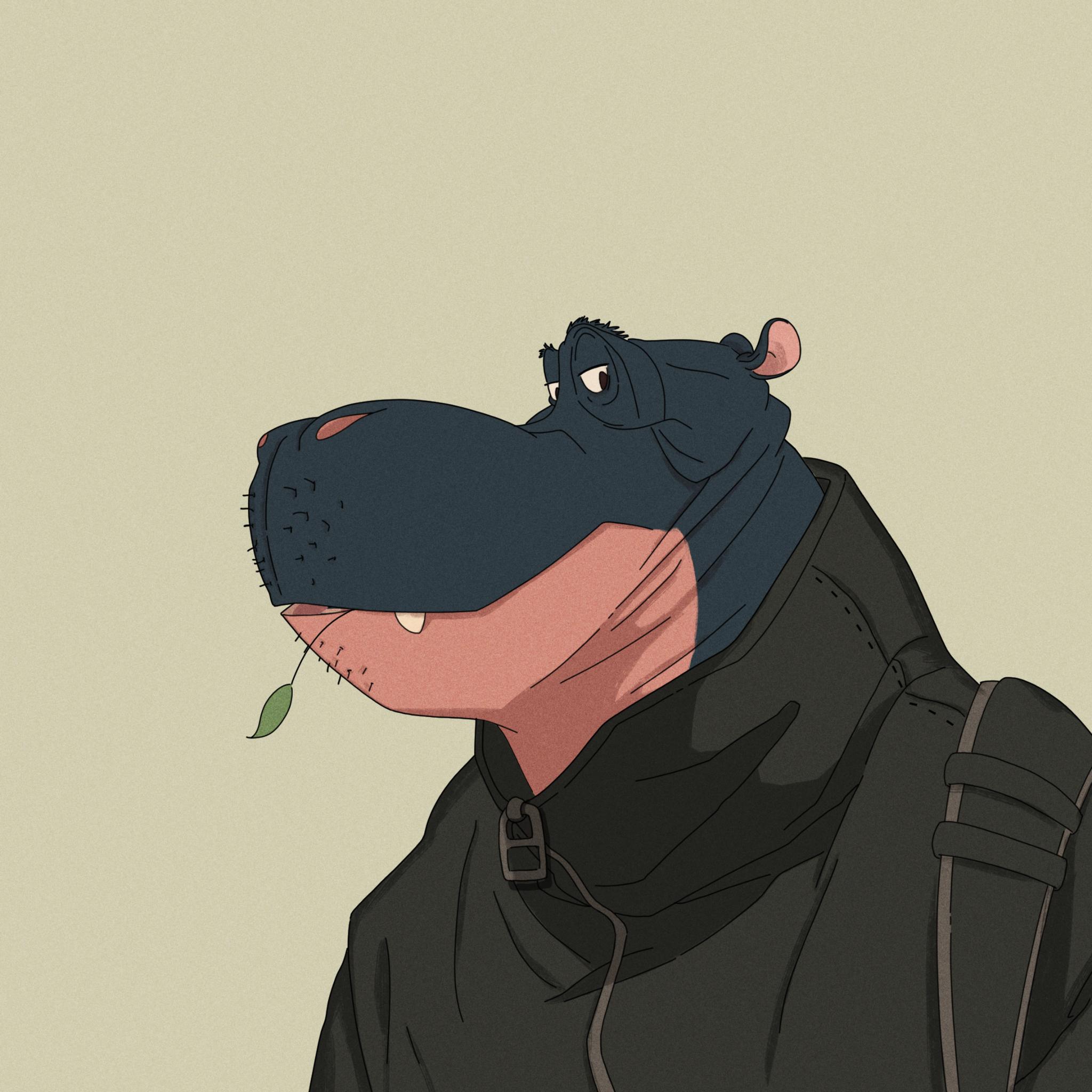 Flowty: 0x6e5d12b1735caa83 NFT Account