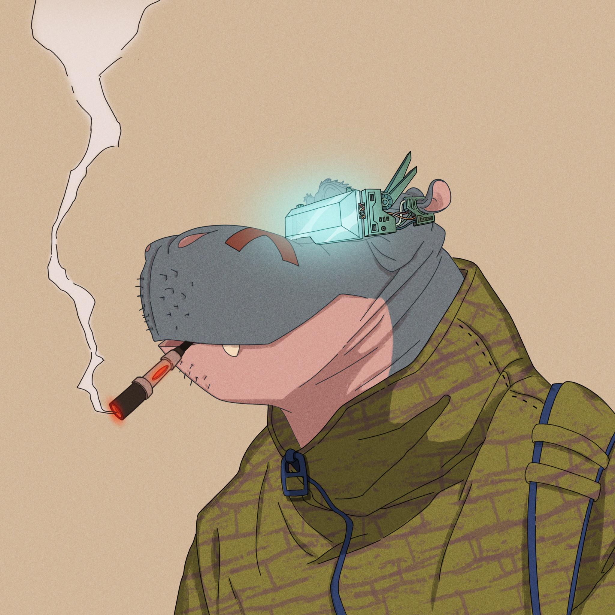 Flowty: 0x6e5d12b1735caa83 NFT Account