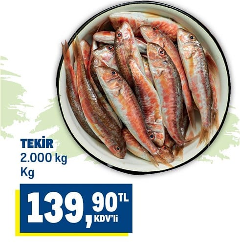 Tekir Kg | İndirimde Market