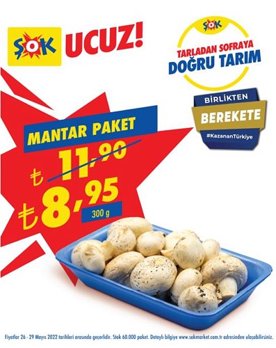 Mantar Paket 300 g | İndirimde Market