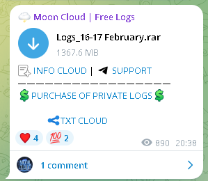 Logs_16-17 February Breach: 1.33GB Data Compromised by #mooncloud | InsecureWeb