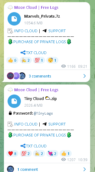 Tiny Cloud ⛅29: Massive Data Breach by #Mooncloud | InsecureWeb