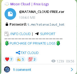 Breach Alert: @KATANA_CLOUD 28 Exposes 1.03GB of Sensitive Data | InsecureWeb