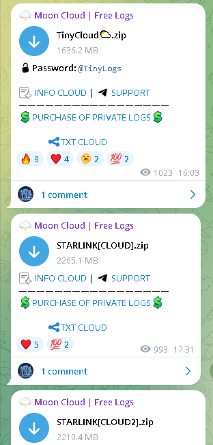 STARLINK[CLOUD2] Data Breach Exposes 2.15GB of Sensitive Information | InsecureWeb
