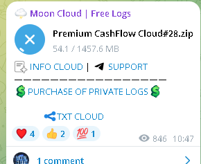 Premium CashFlow Cloud#28: Alert! Security Breach Detected | InsecureWeb