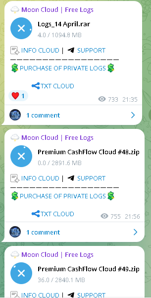 Data Breach Alert: Premium CashFlow Cloud #49 Compromised by #mooncloud! | InsecureWeb