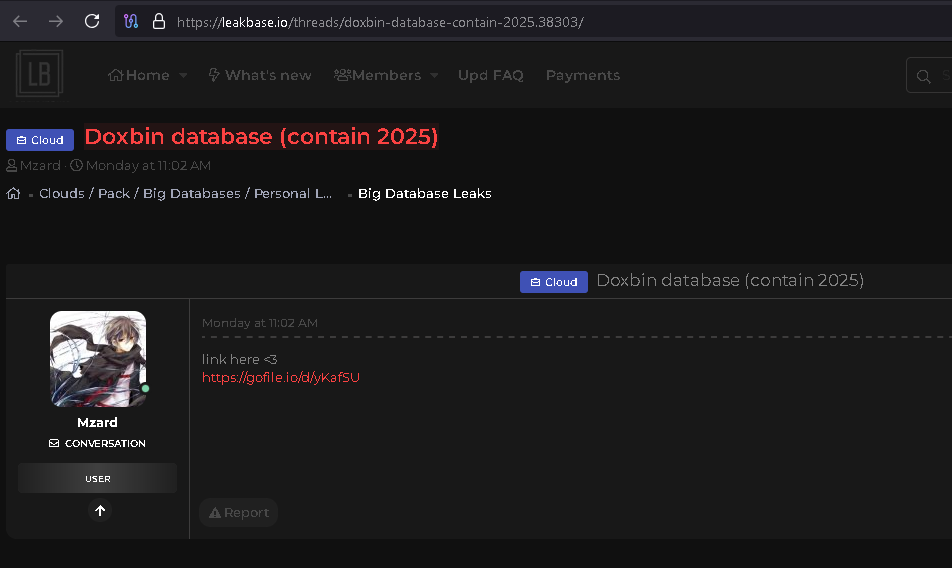 Over 130K Records from Doxbin Database | InsecureWeb