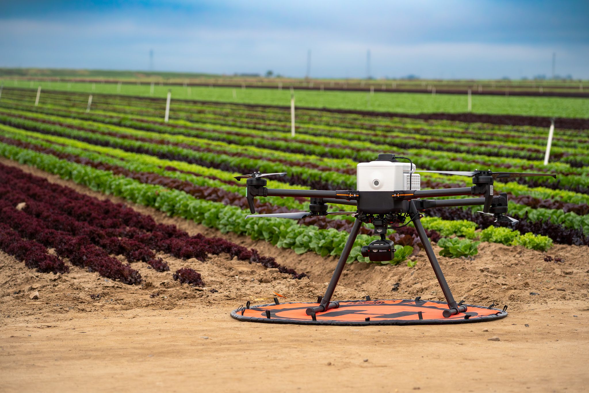 Using Multispectral Data to Enhance Early-Stage Crop Management with ...