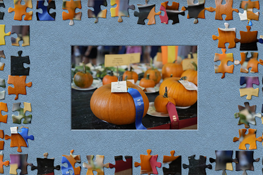 Iowa State Fair | Blue Ribbon Kids' Club