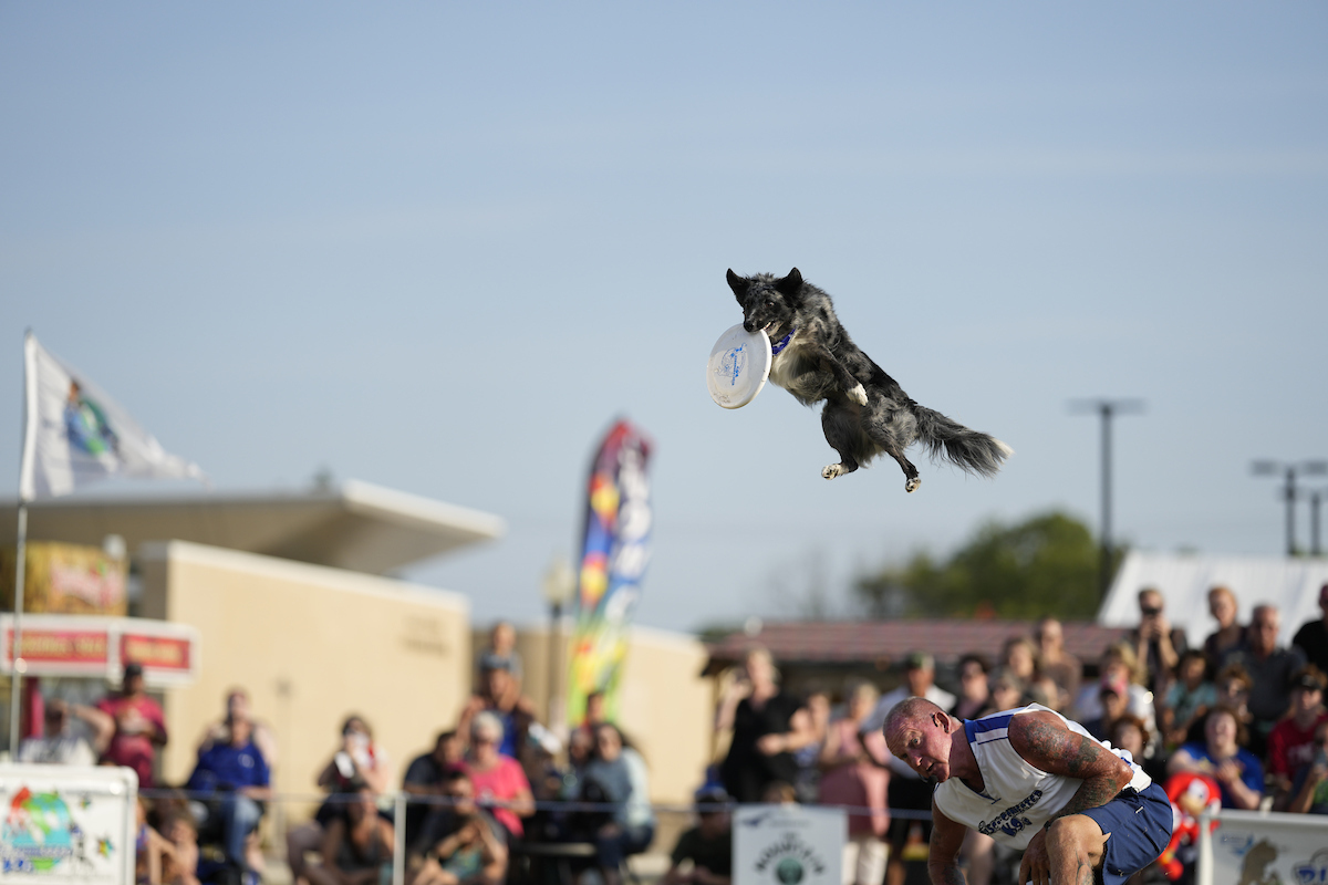 Iowa State Fair | Fair Image Library