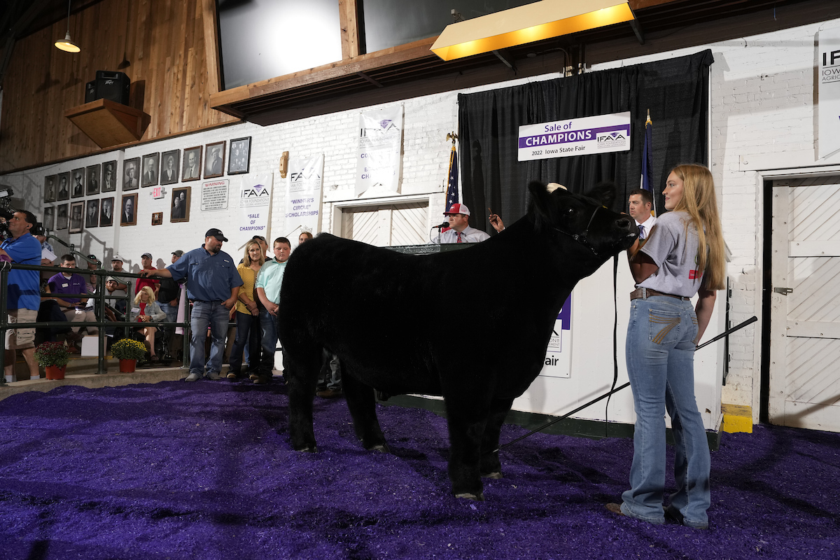 Iowa State Fair | Sale of Champions