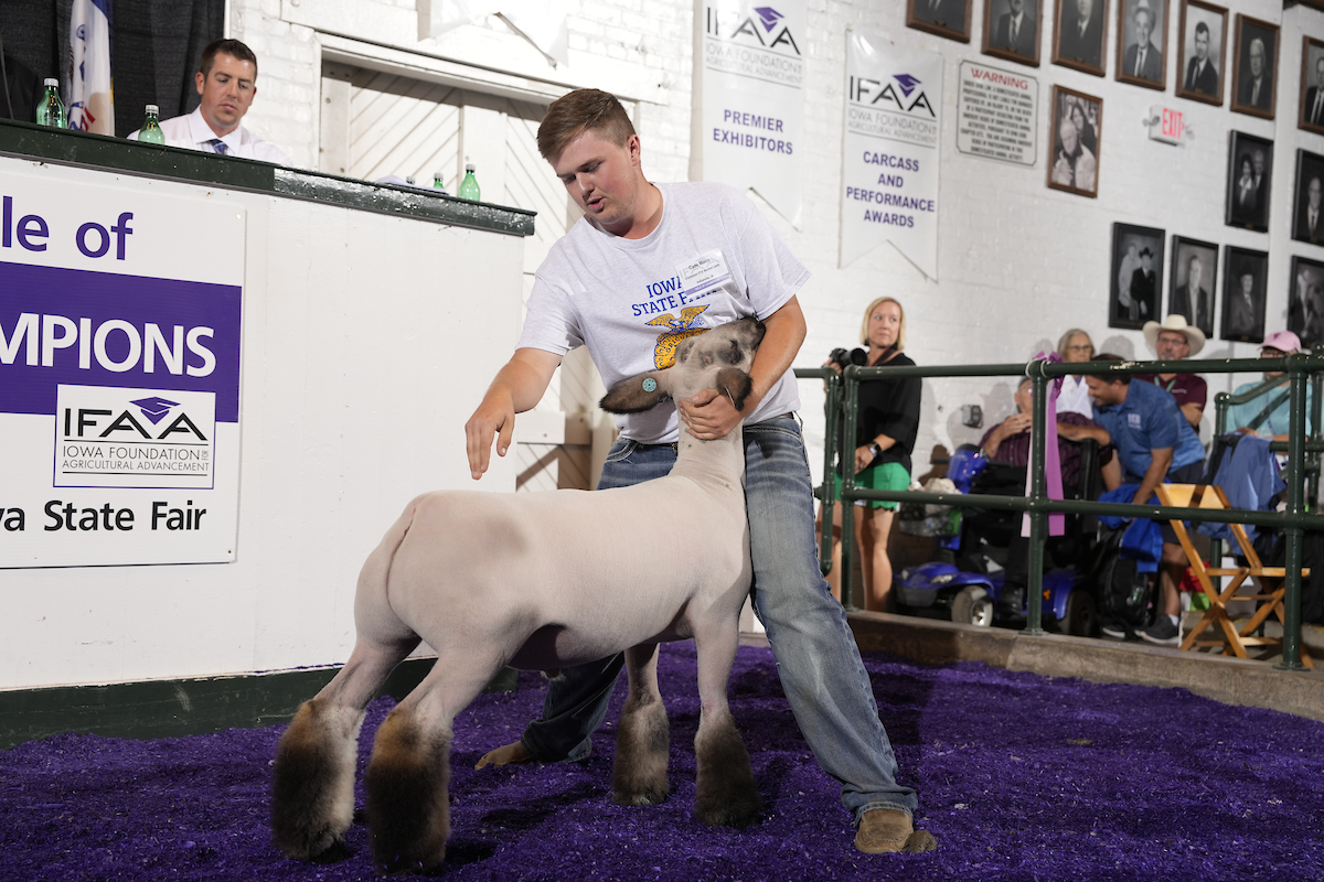 Iowa State Fair | Winner Bios & Photos