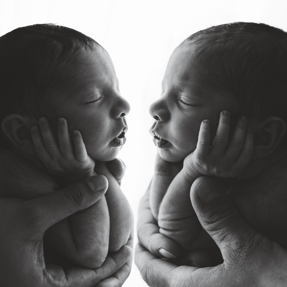 2023 - Family - NZIPP Iris Awards