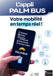 Le réseau Palm Bus - Palm déplacements