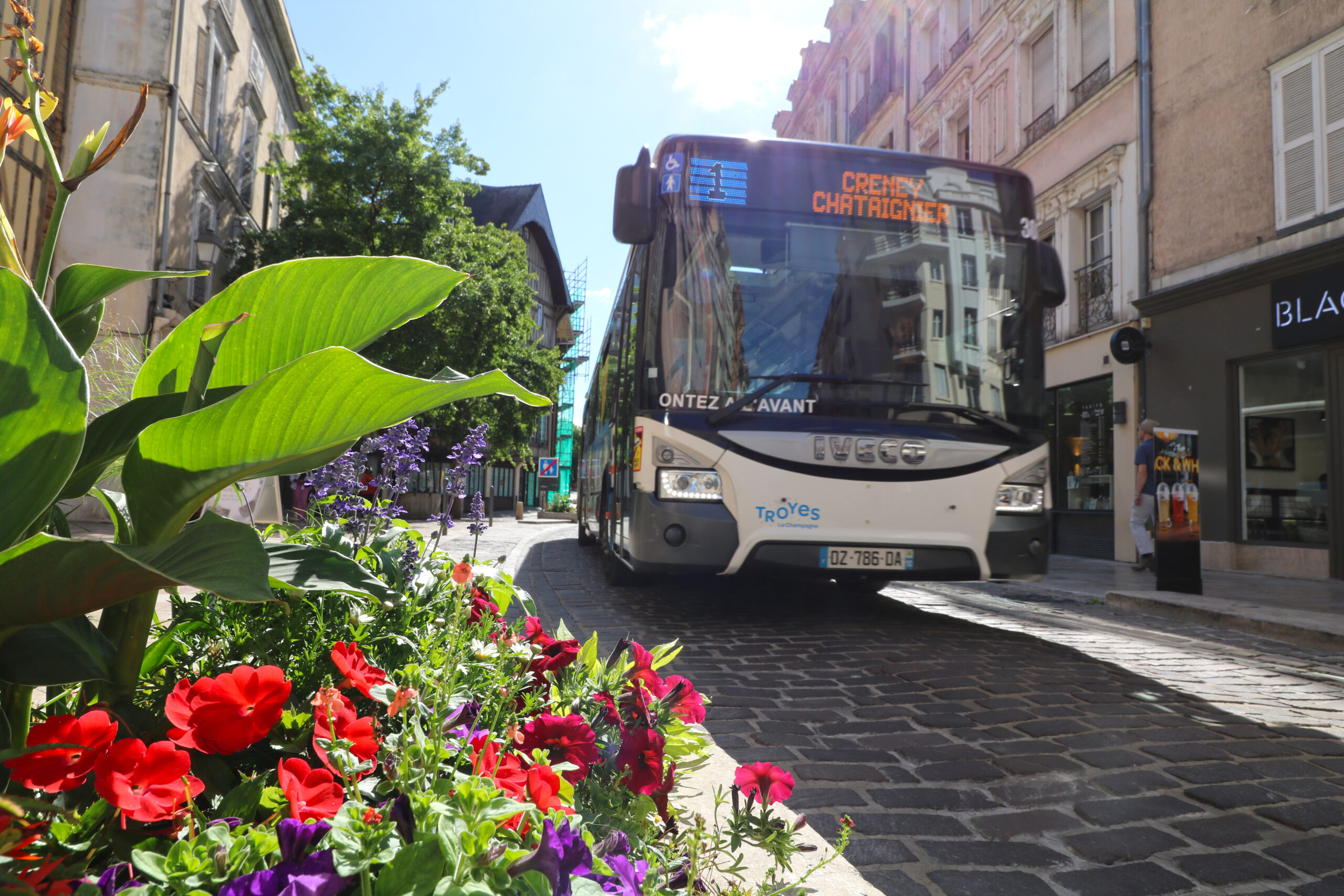Le réseau bus TCAT - TCAT