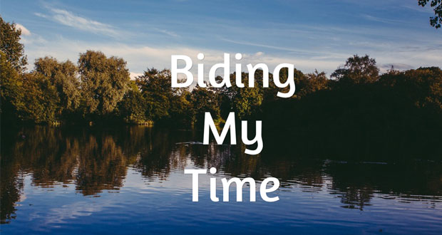 Biding My Time - It's Just Life