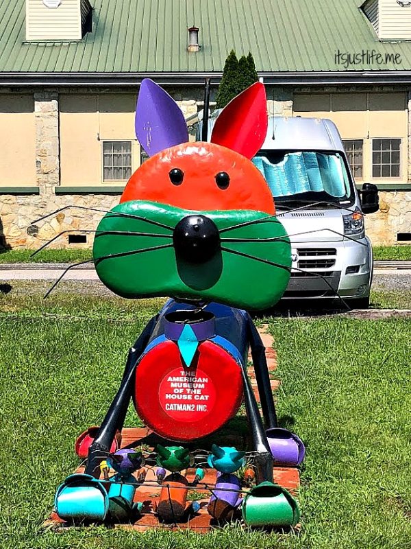 The American Museum of the House Cat - Sylva, North Carolina - It's ...