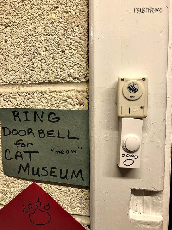 The American Museum of the House Cat - Sylva, North Carolina - It's ...