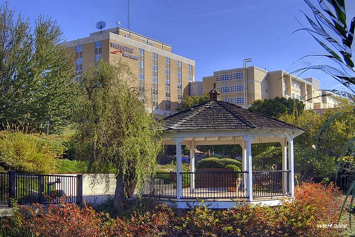 WellStar Cobb Hospital | Ivy Clinicians