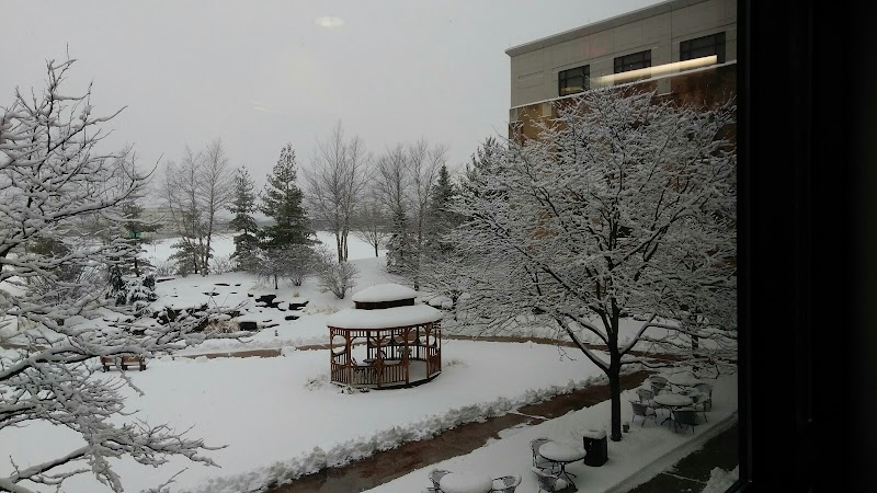 UnityPoint Health - Trinity Bettendorf | Ivy Clinicians