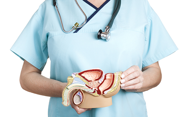 Prostate Artery Embolization Pae Procedure An Alternative For Men