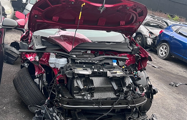 Beach tennis player inspires new adaptive sports programs at Lynn ...