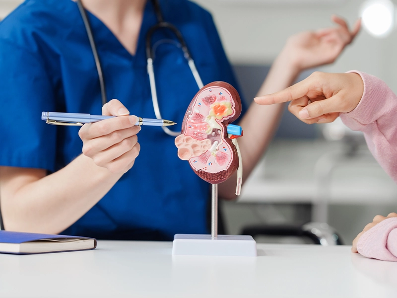 What to Know About Chronic Kidney Disease | Jackson Health System