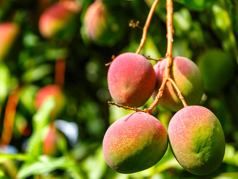 Blog | Jackson Health System