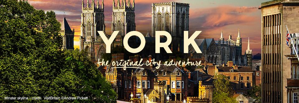 York banner - The Joys Of Binge Reading