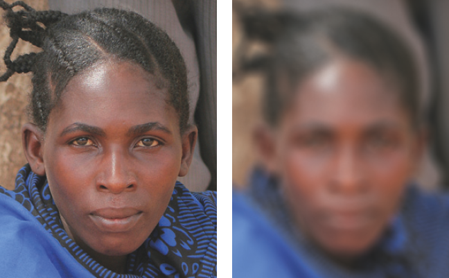 Understanding low vision | Community Eye Health Journal