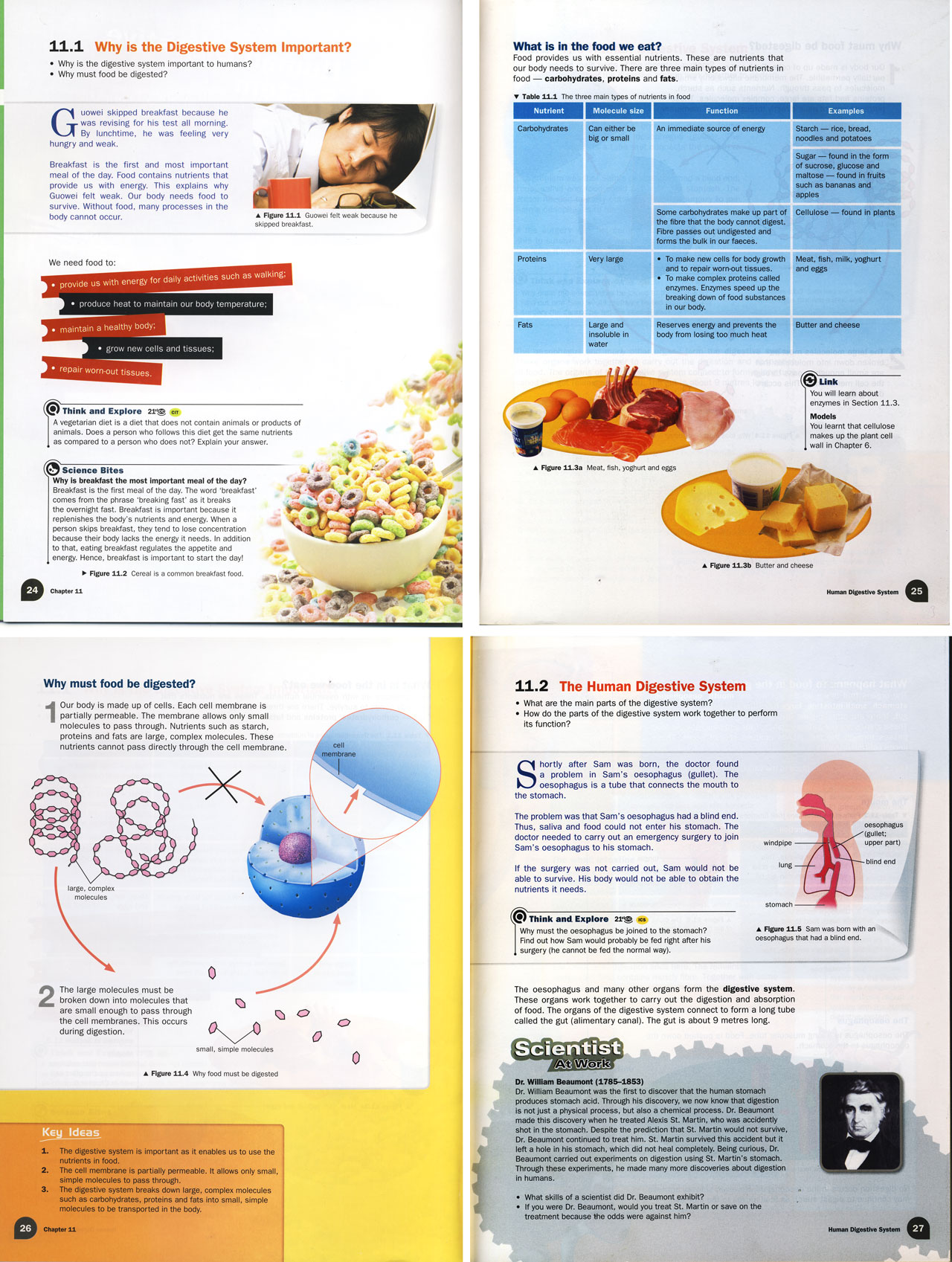 Reading Multimodal Texts for Learning – a Model for Cultivating ...
