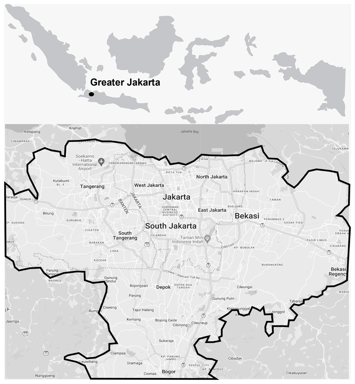 Indirect Effects of PM2.5 Exposure on COVID-19 Mortality in Greater ...