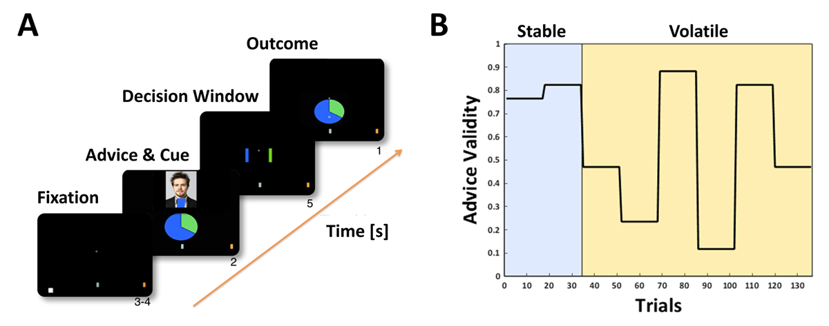 Altered Perception of Environmental Volatility During Social Learning ...