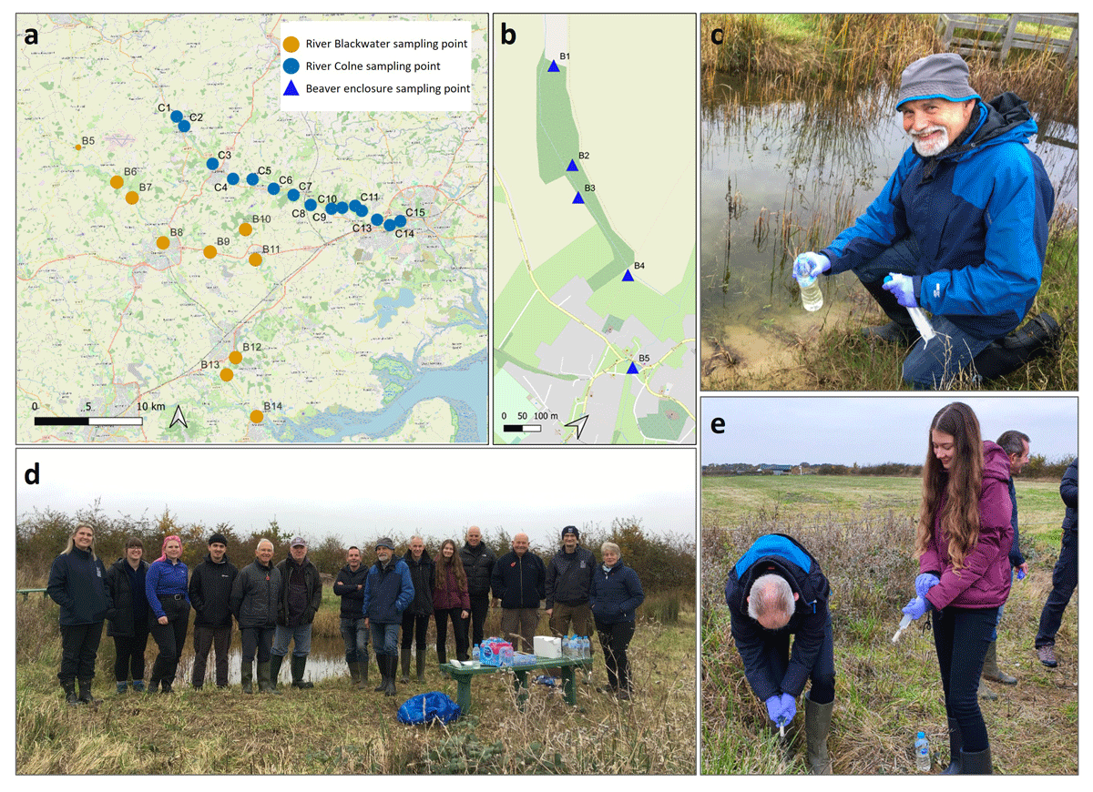 Citizen Scientists’ Motivation to Participate in Environmental DNA ...
