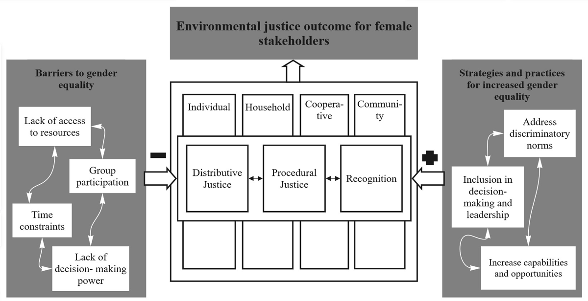 Tackling Gender Inequality in Community-Based Organizations: The ...
