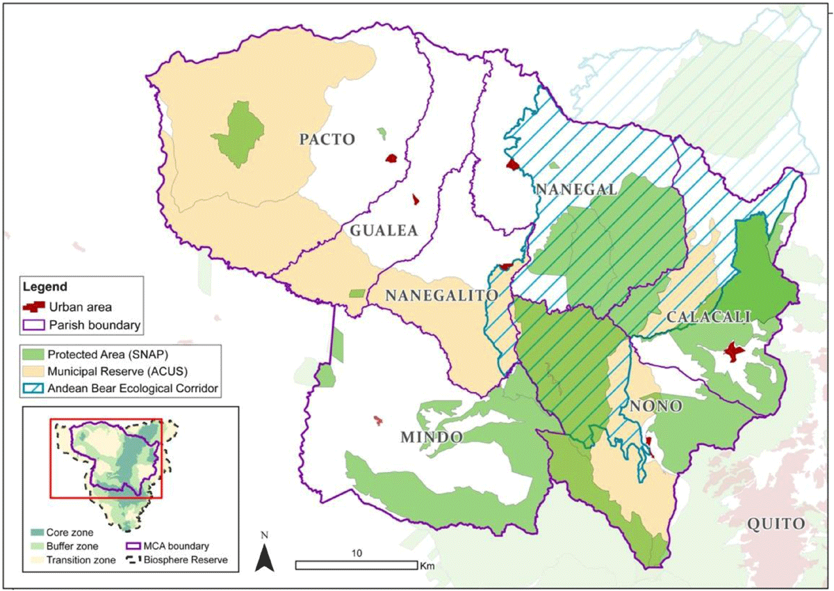 Unshaping Model Forests in the Global South: Trans-local Politics and ...