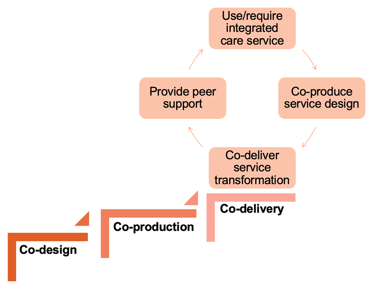 Transforming Integrated Care Through Co-production: A Systematic Review ...