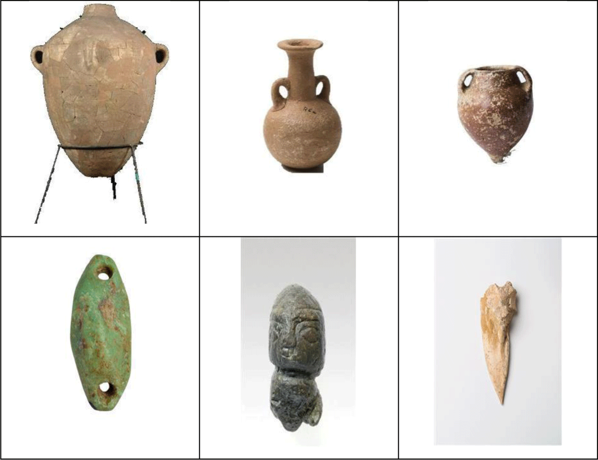 Comparative Analysis of CNN Architectures and Loss Functions on Age ...