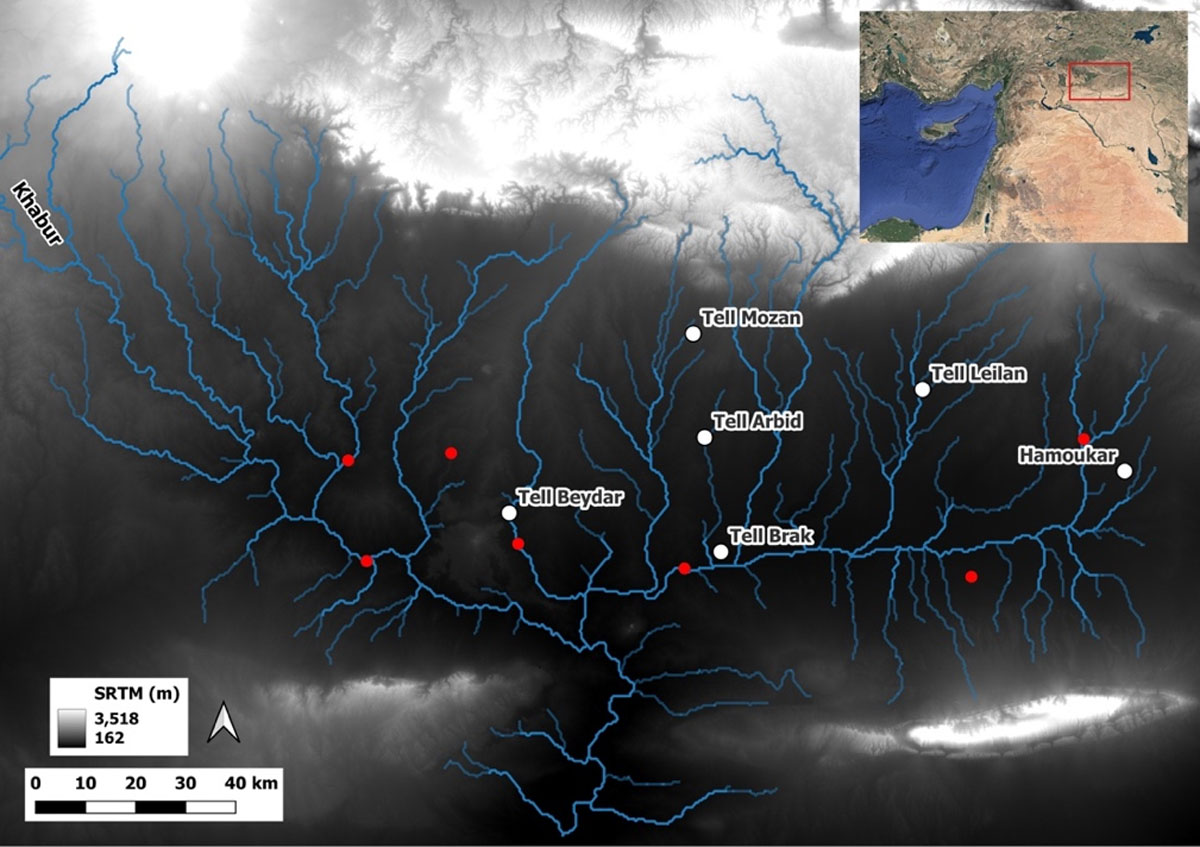 Convolutional Neural Networks and Their Activations: An Exploratory ...