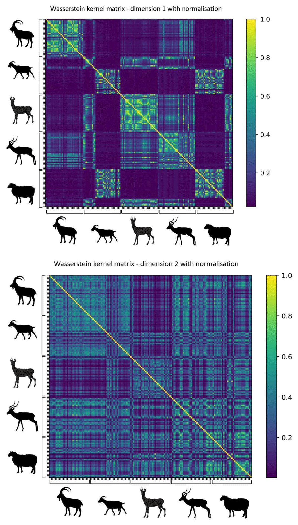 Topological Data Analysis and Multiple Kernel Learning for Species ...