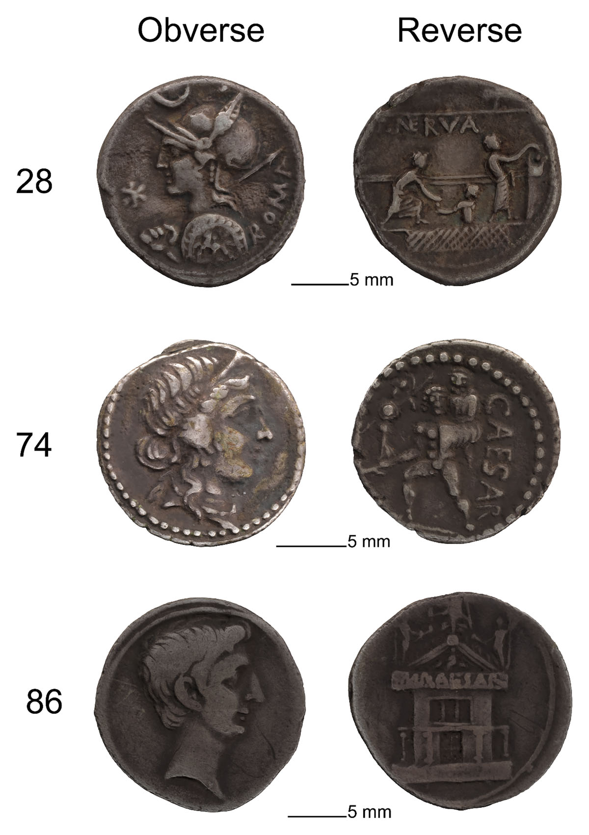 Depth and Dimension: Exploring the Problems and Potential of Photogrammetric Models for Ancient ...