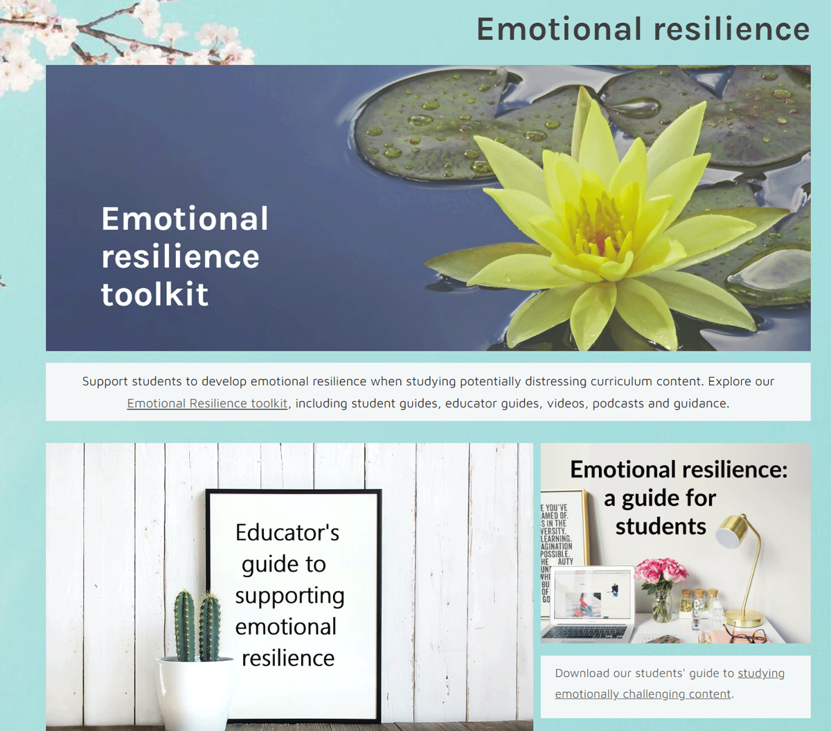 Positive Digital Practices: Supporting Positive Learner Identities and ...