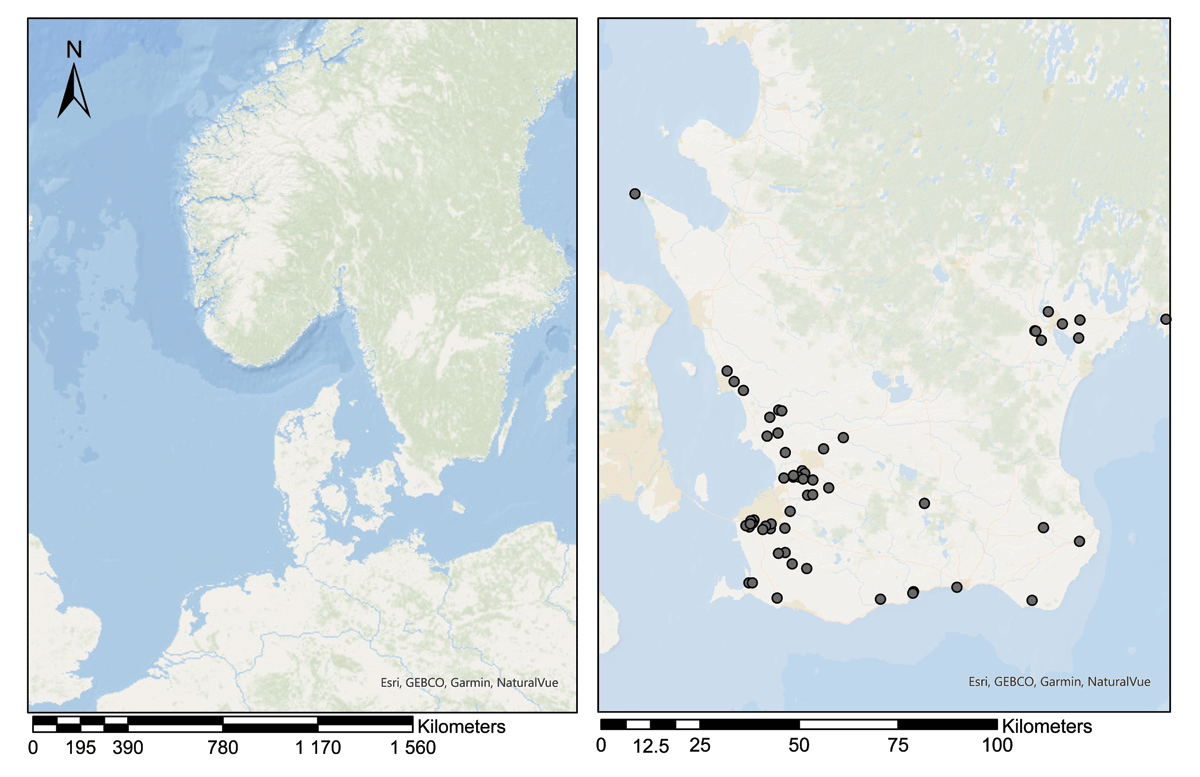 Animal Bones From Iron Age Settlements in Scania, Southern Sweden: A ...
