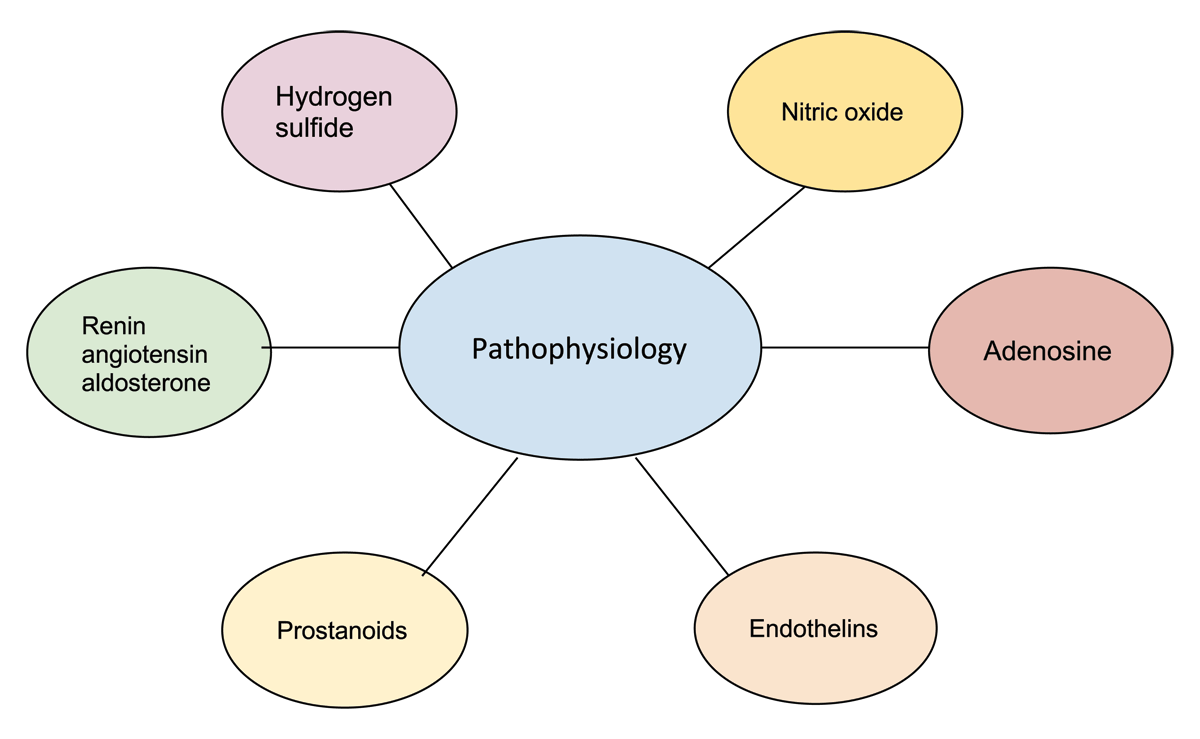 Vasoplegia: A Review | Methodist DeBakey Cardiovascular J