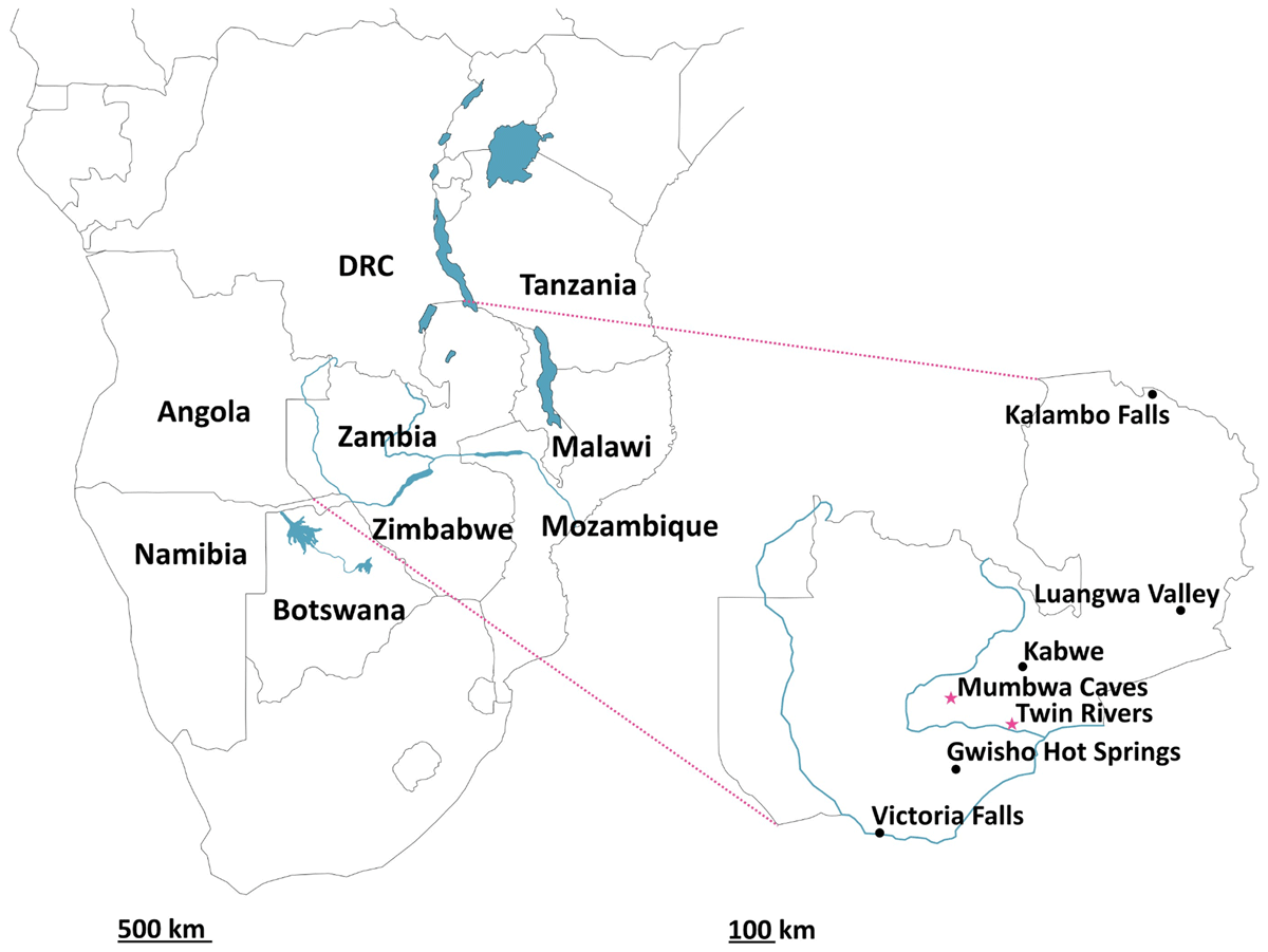 Old Fossils, New Information: Insights into Site Formation Processes of ...