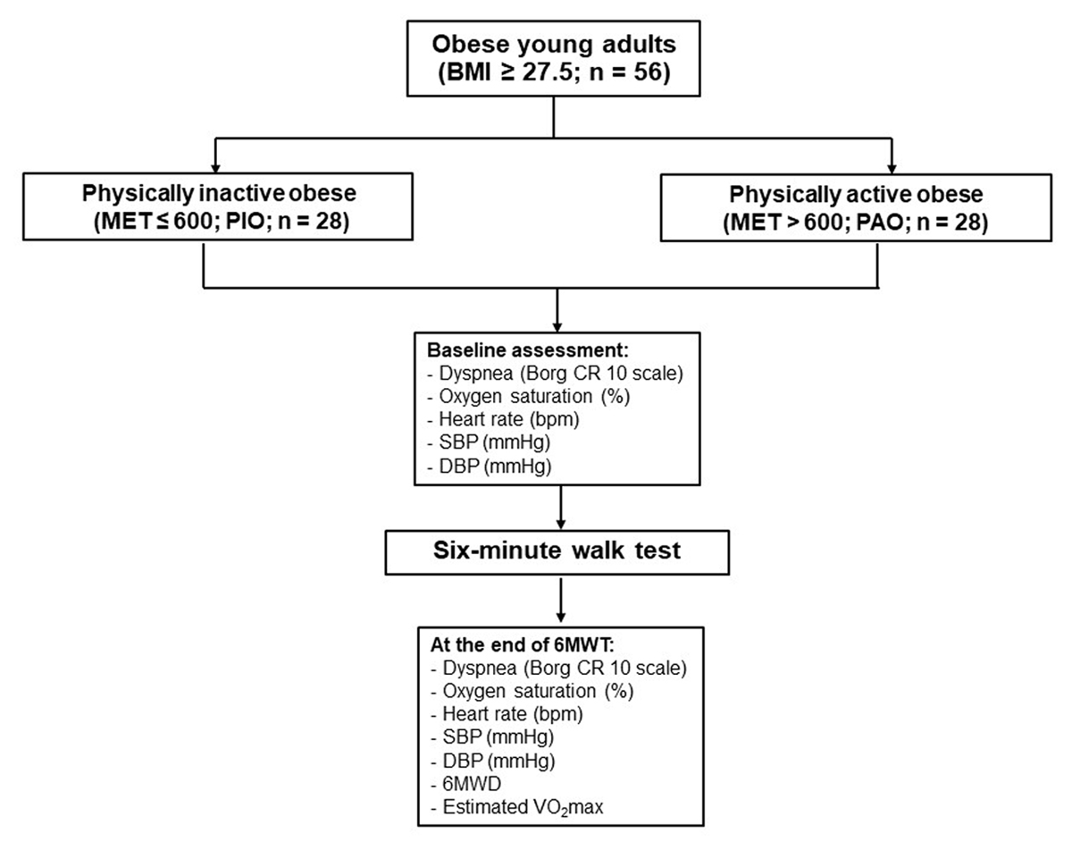Comparing the 6-minute Walk Test Performance and Estimated Maximal ...