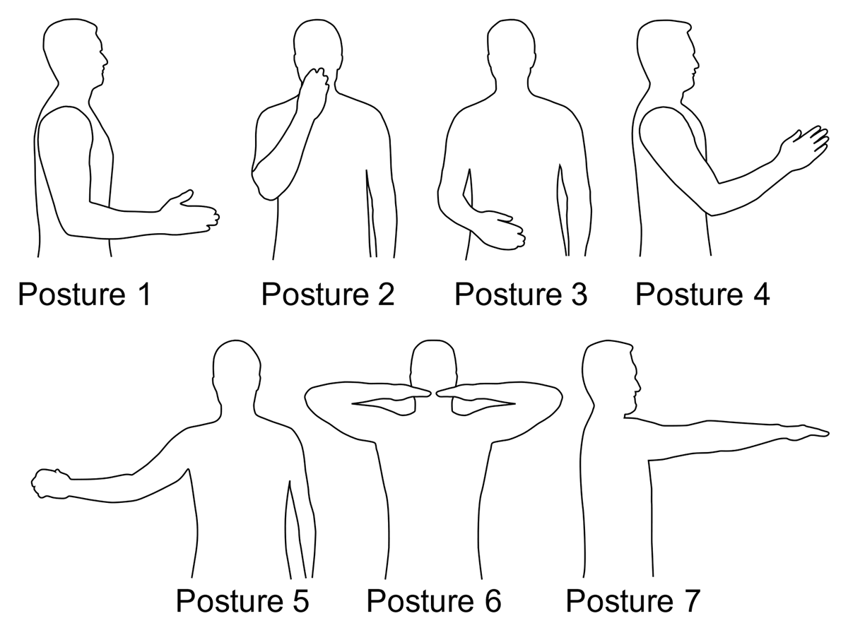 Potential of Individual Upper-Limb Muscles to Contribute to Postural ...