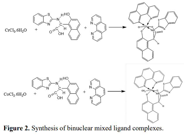 Synthesis, Characterization And Antibacterial Activity Of Mono- And Binuclear Co(II) And Cr(III ...