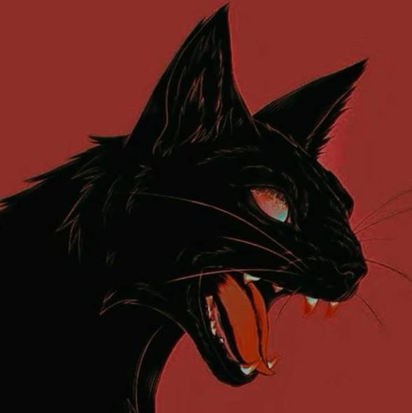 meigui (@meiguimei) | Joyme