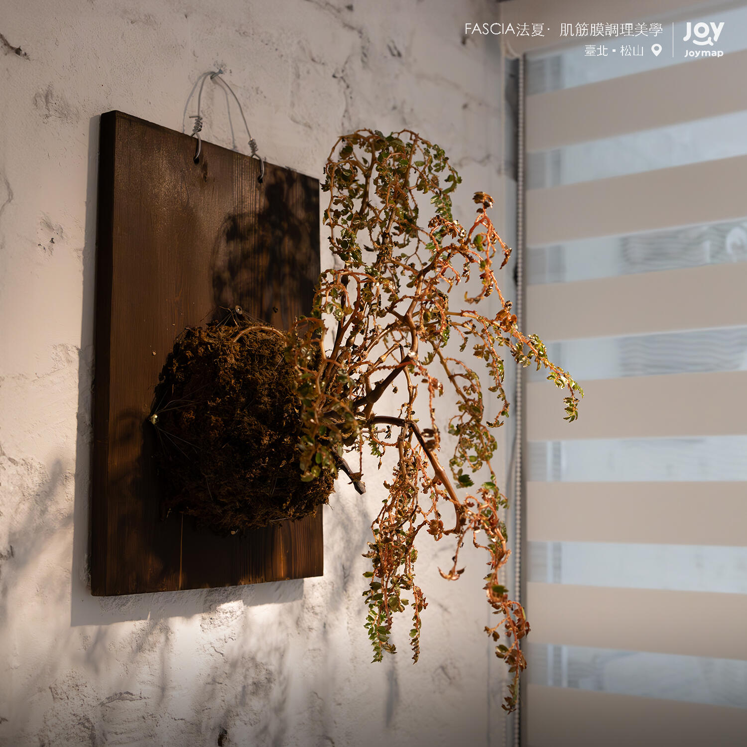 【台北│Fascia法夏·肌筋膜調理美學】精準打擊腰痠背痛的救星，專業筋膜調理體驗 - Joymap 享樂地圖